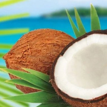 Nourishing Exotic Coconut Oil (8.11oz/240ml) – Pure Fiji AU Store